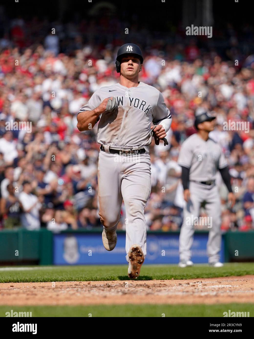 New York Yankees' Ben Rortvedt scores on a hit by Aaron Judge in a ...
