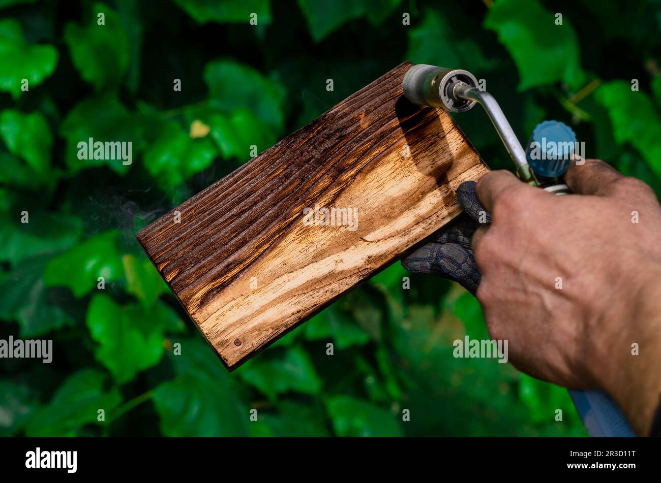 Working with wood. Processing wood with fire. Gas burner Stock Photo ...