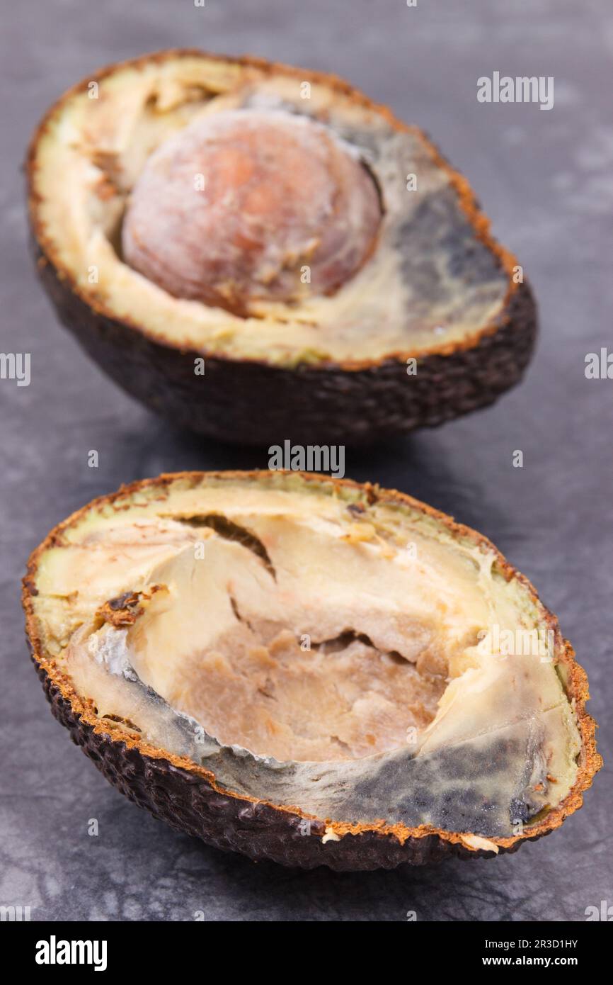Old moldy avocado on dark wooden board. Unhealthy and disgusting fruit ...