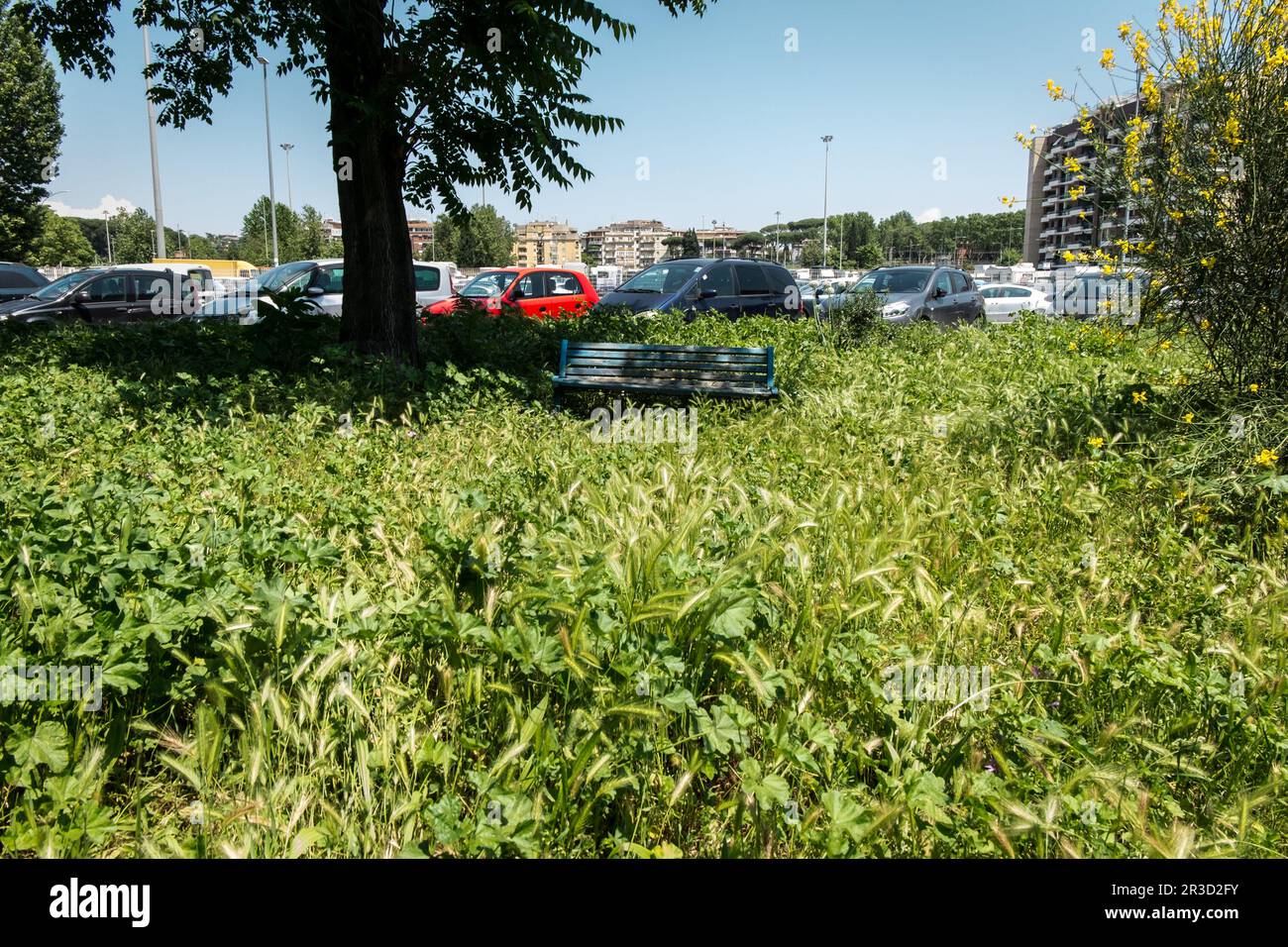 Ronhcini hi-res stock photography and images - Alamy