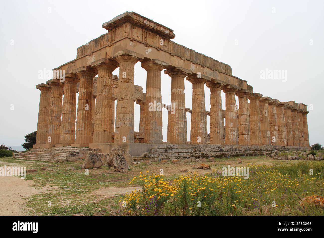 ruined greco-roman temple in selinunte in sicily (italy Stock Photo - Alamy