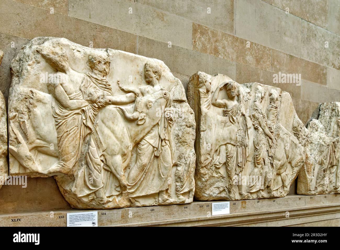 British Museum Great Russell Street London The Parthenon Sculptures Elgin Marbles Image one ...