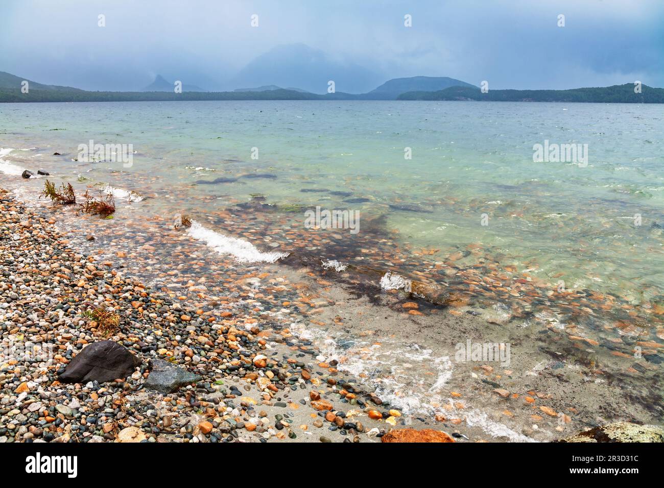 Colorful pebbles on the shore of Lake Manapuri at Fiordland National ...