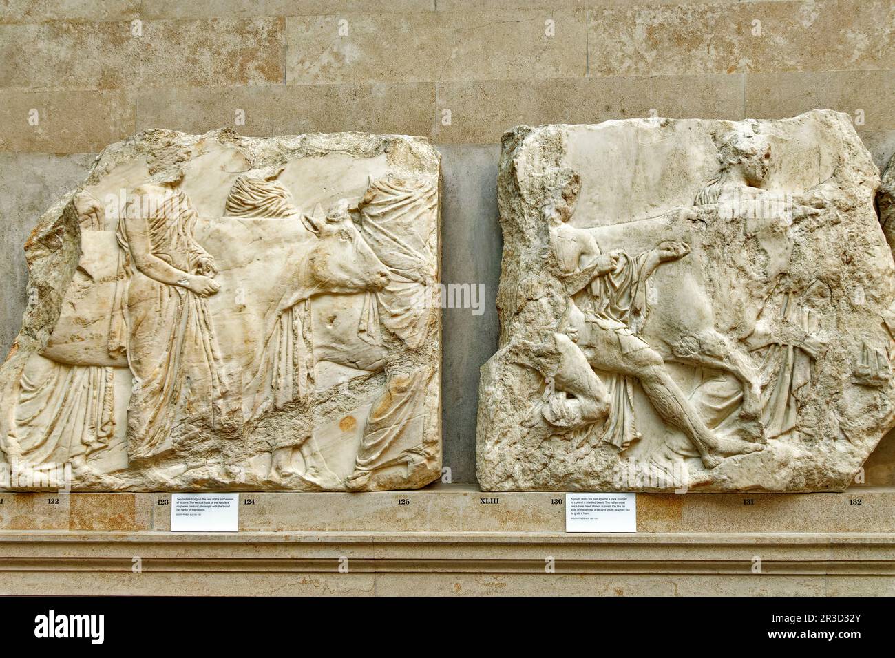 British Museum Great Russell Street London The Parthenon Sculptures Elgin Marbles Image three ...