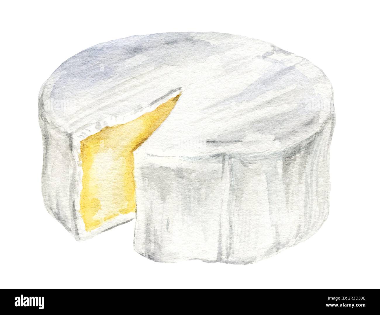 watercolor camembert cheese round with cutting piece, italian and ...