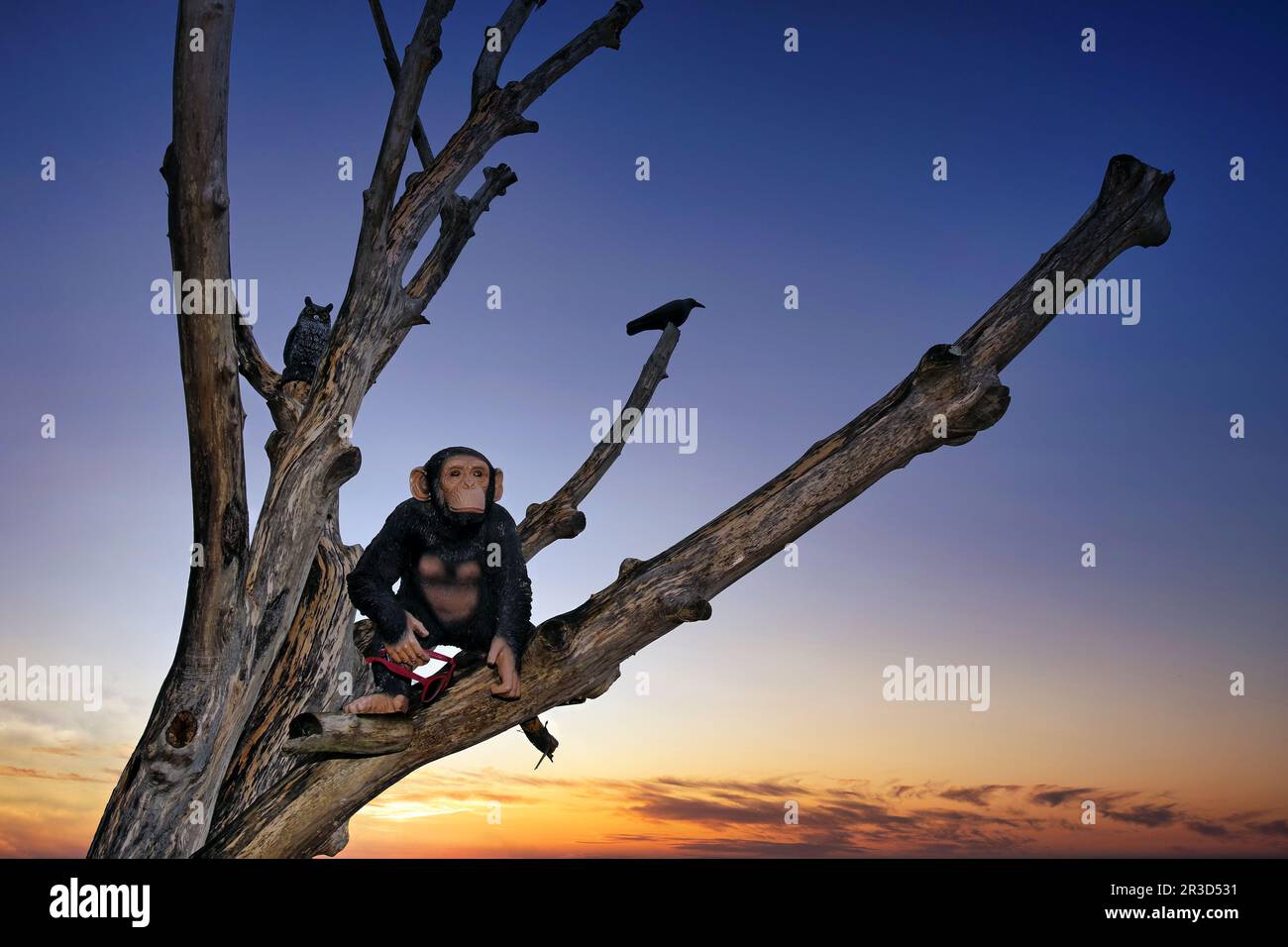 Chimpanzee figure on a tree Stock Photo - Alamy