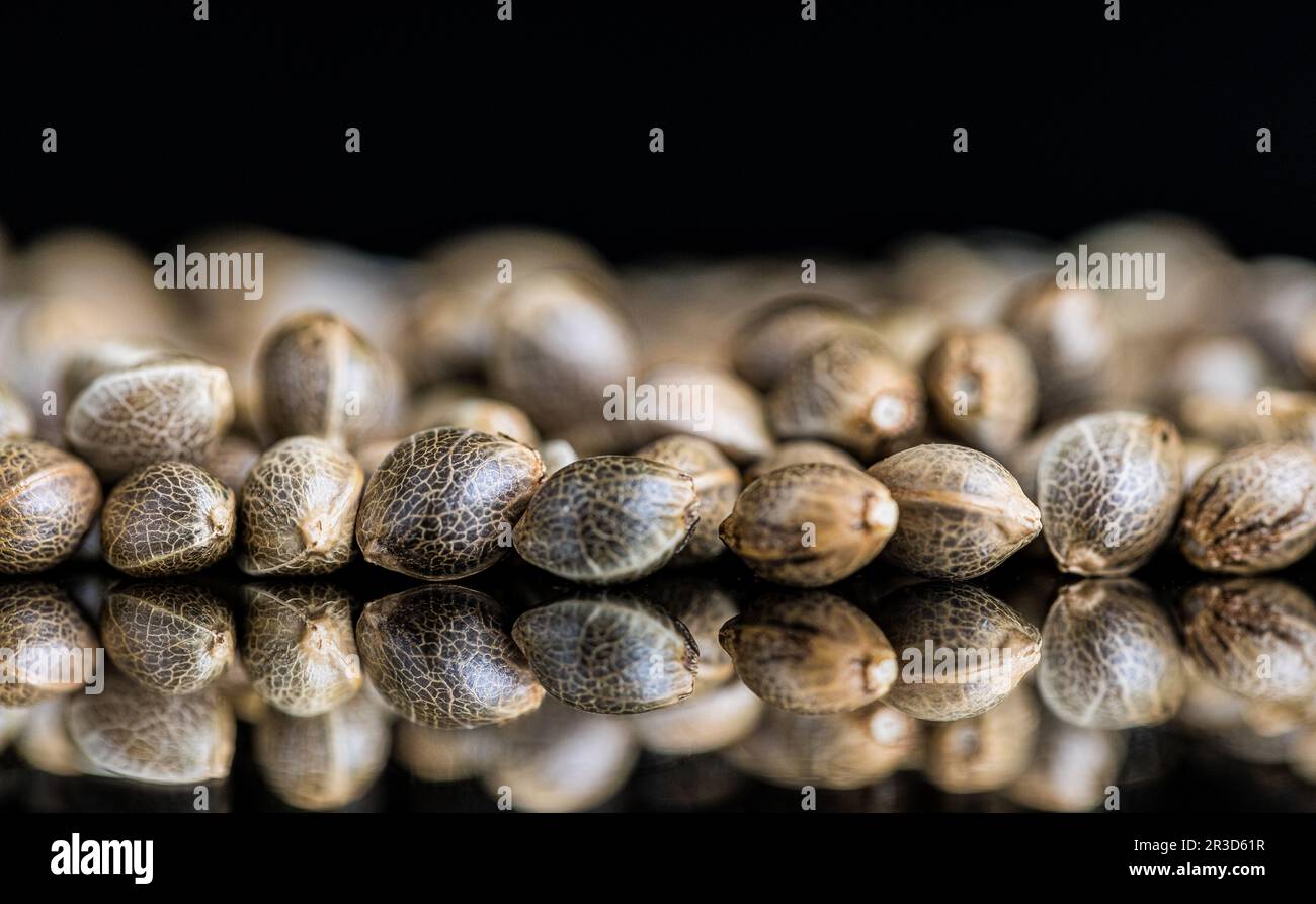 Marijuana seeds hi-res stock photography and images - Alamy