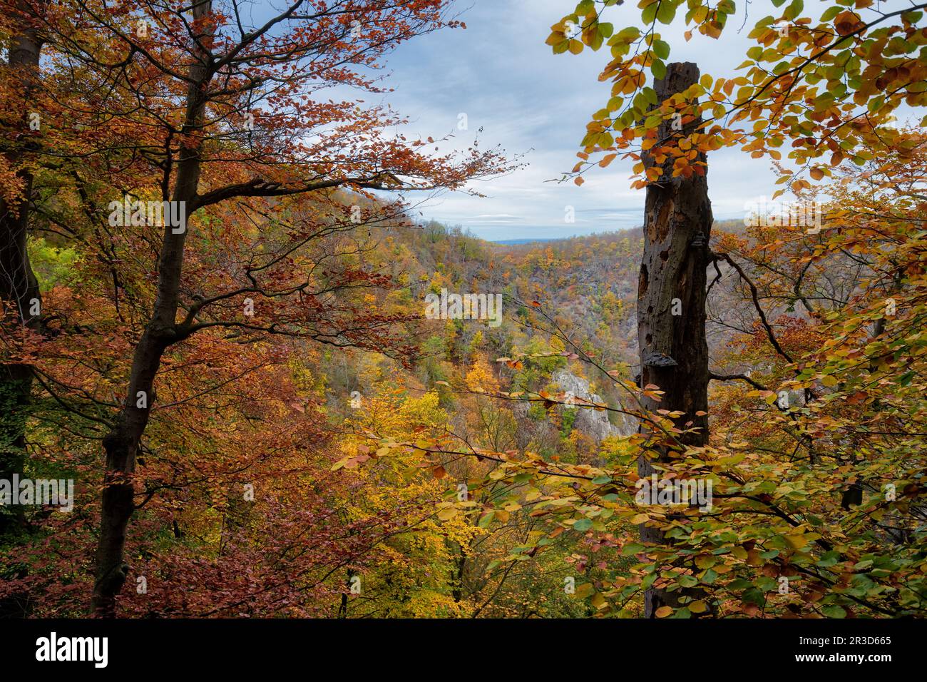 Bode valley in harz hi-res stock photography and images - Alamy