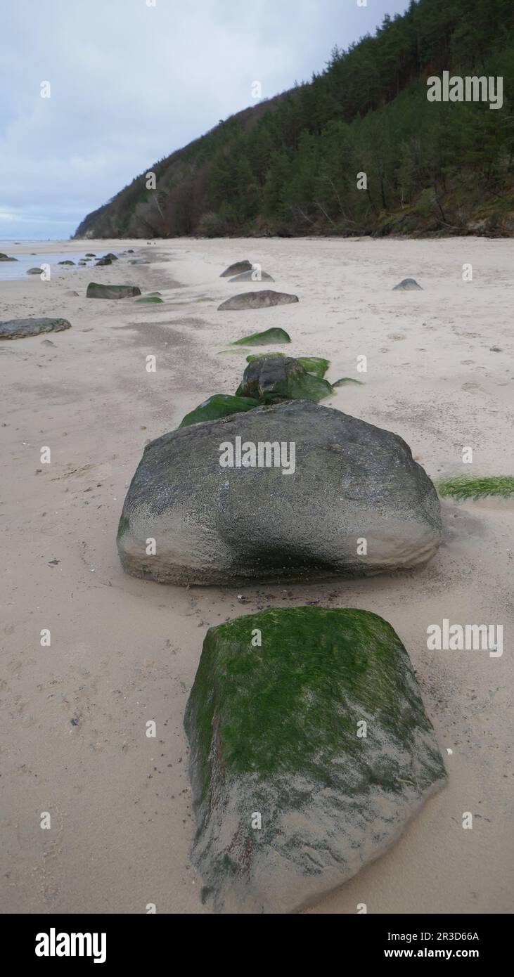 Rocks on the beach Stock Photo - Alamy