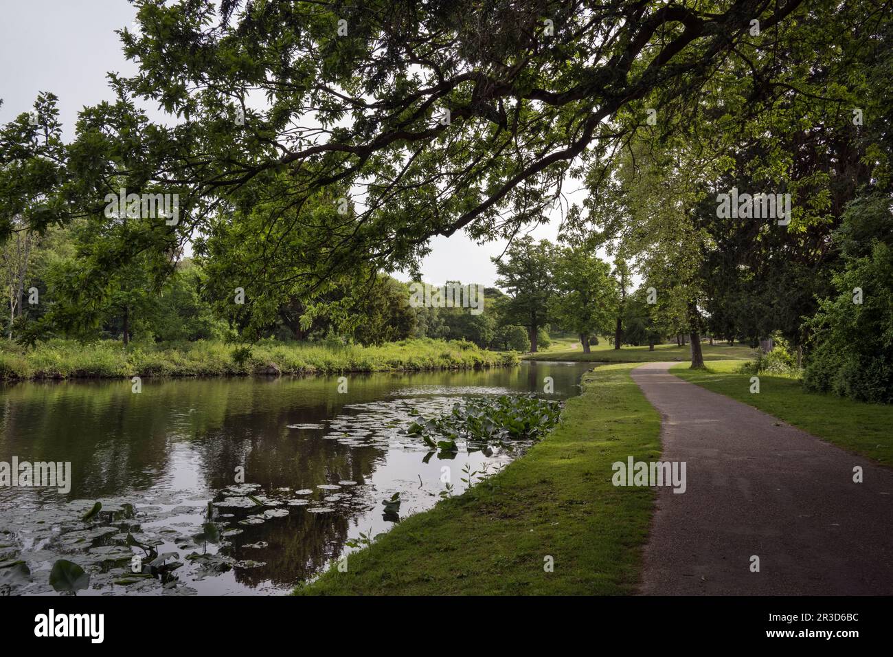 Lake walk at Painshill Park Cobham Surrey UK Stock Photo - Alamy