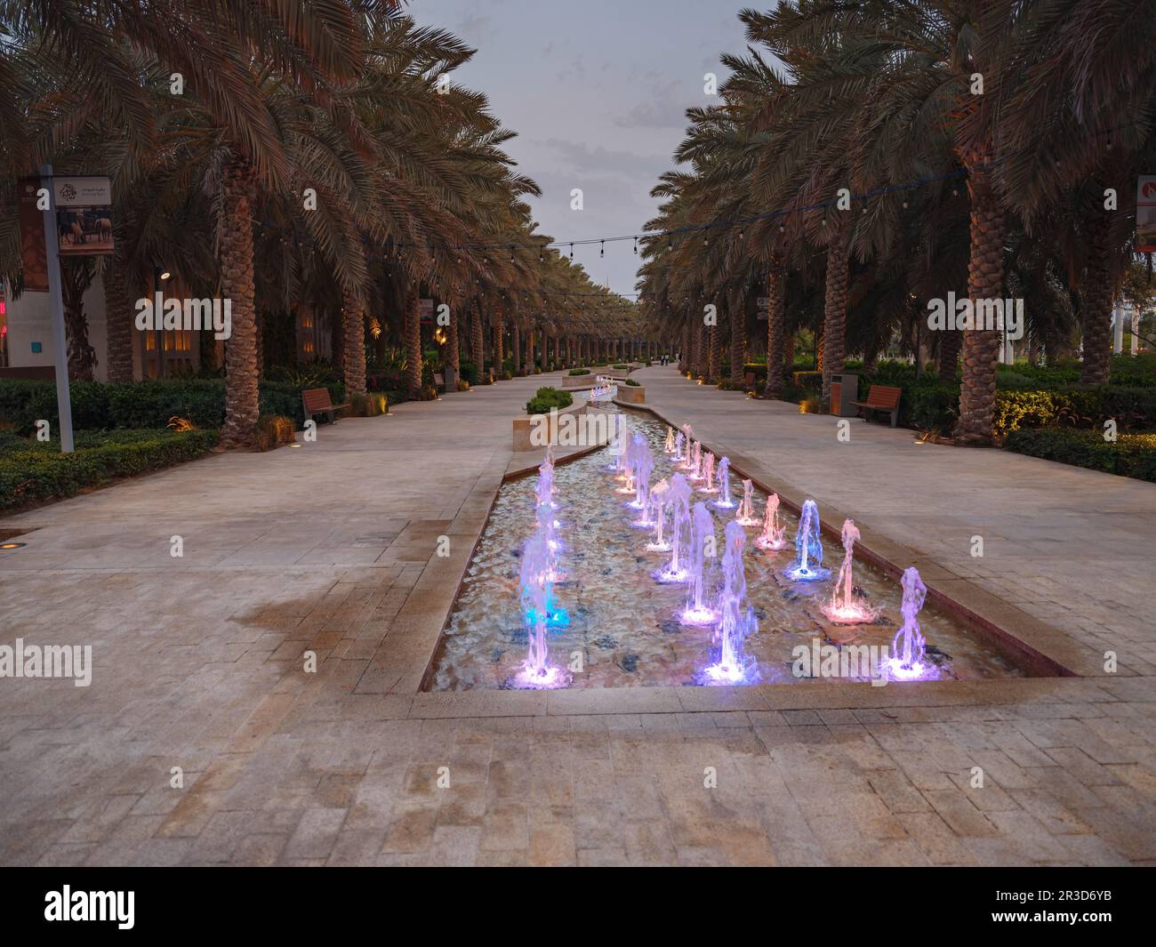 Large green evening park in the big city, Umm Al Emarat Park in Abu ...