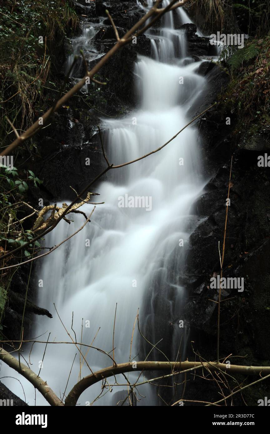 Small roadside waterfall on an un-named stream at Ynysbwllog, near ...