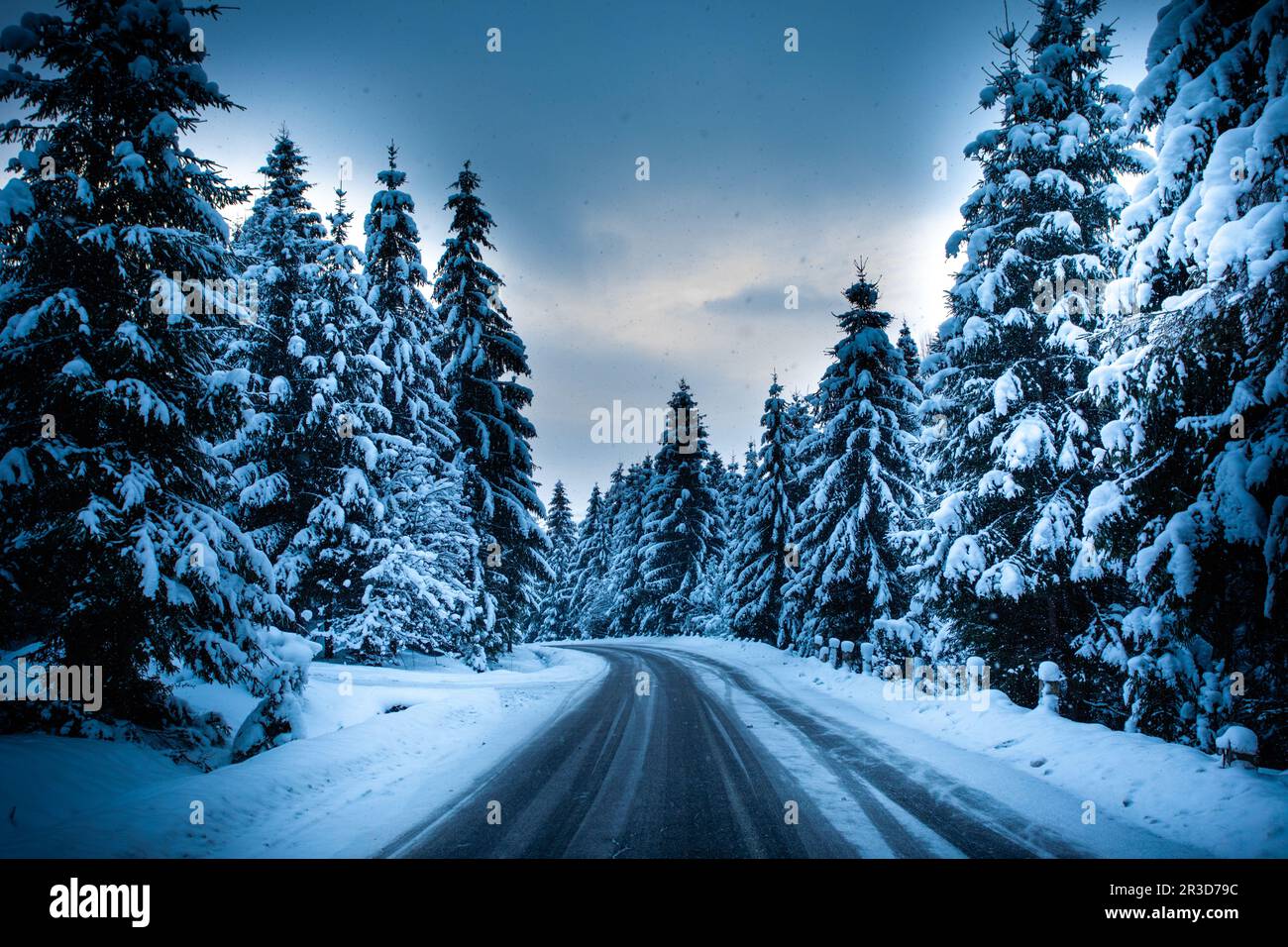 Driving through a natural calm winter fairytale Stock Photo - Alamy