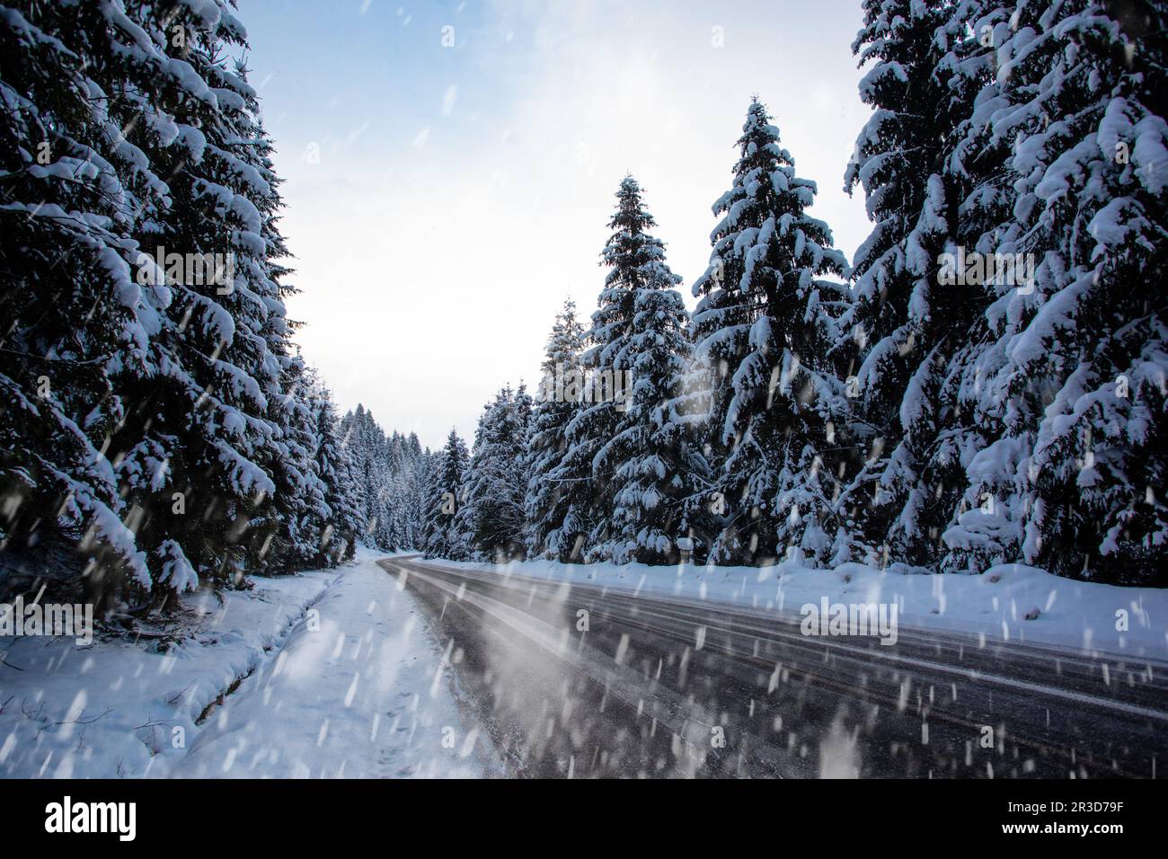 Clear sky always follows the snow storm Stock Photo - Alamy