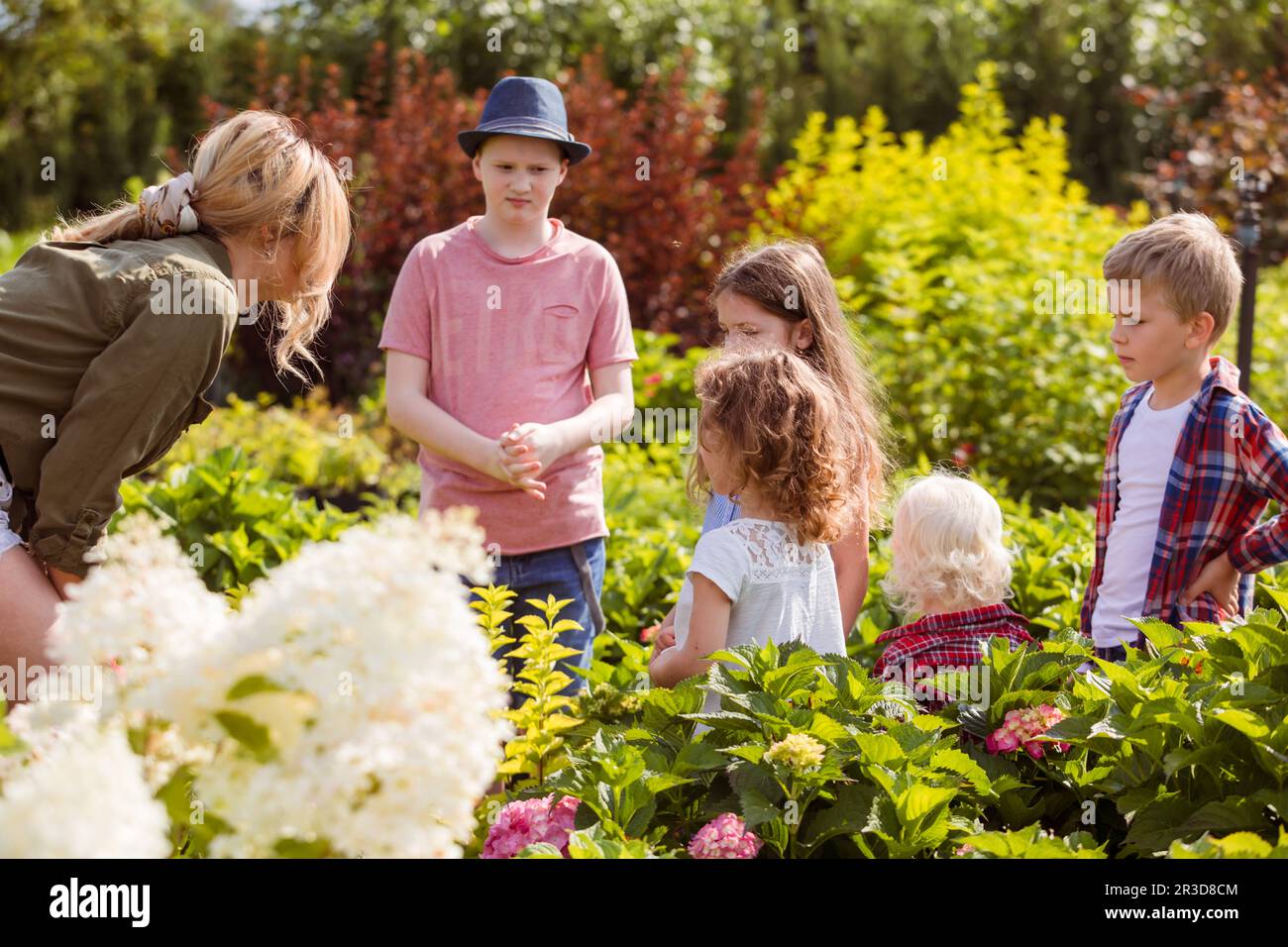 School Children at the open space biology lesson Stock Photo - Alamy