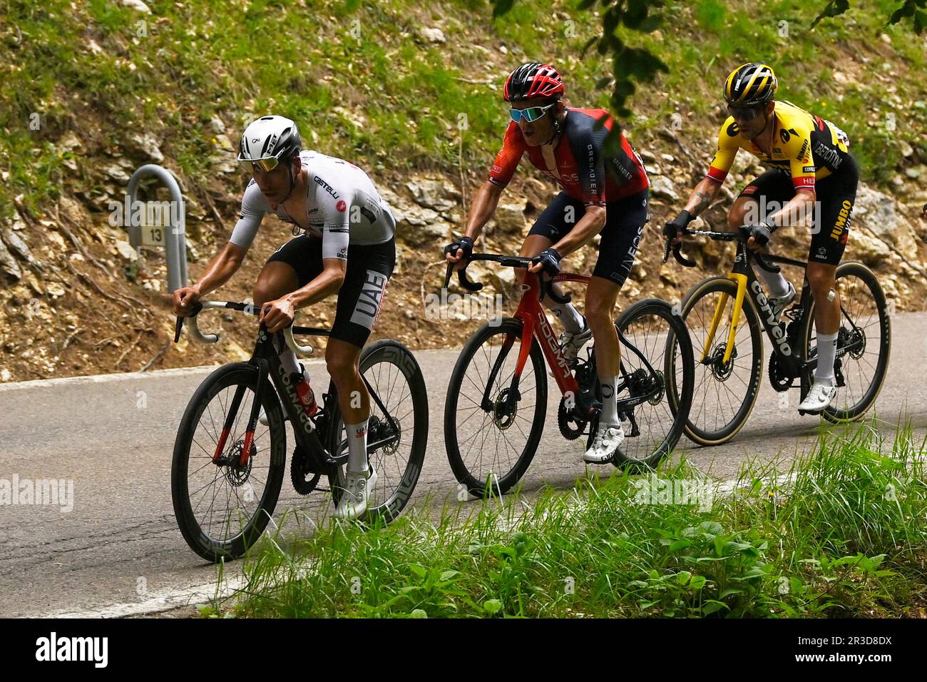 Portugal's Joao Almeida leads Britain's Geraint Thomas and Slovenia's ...