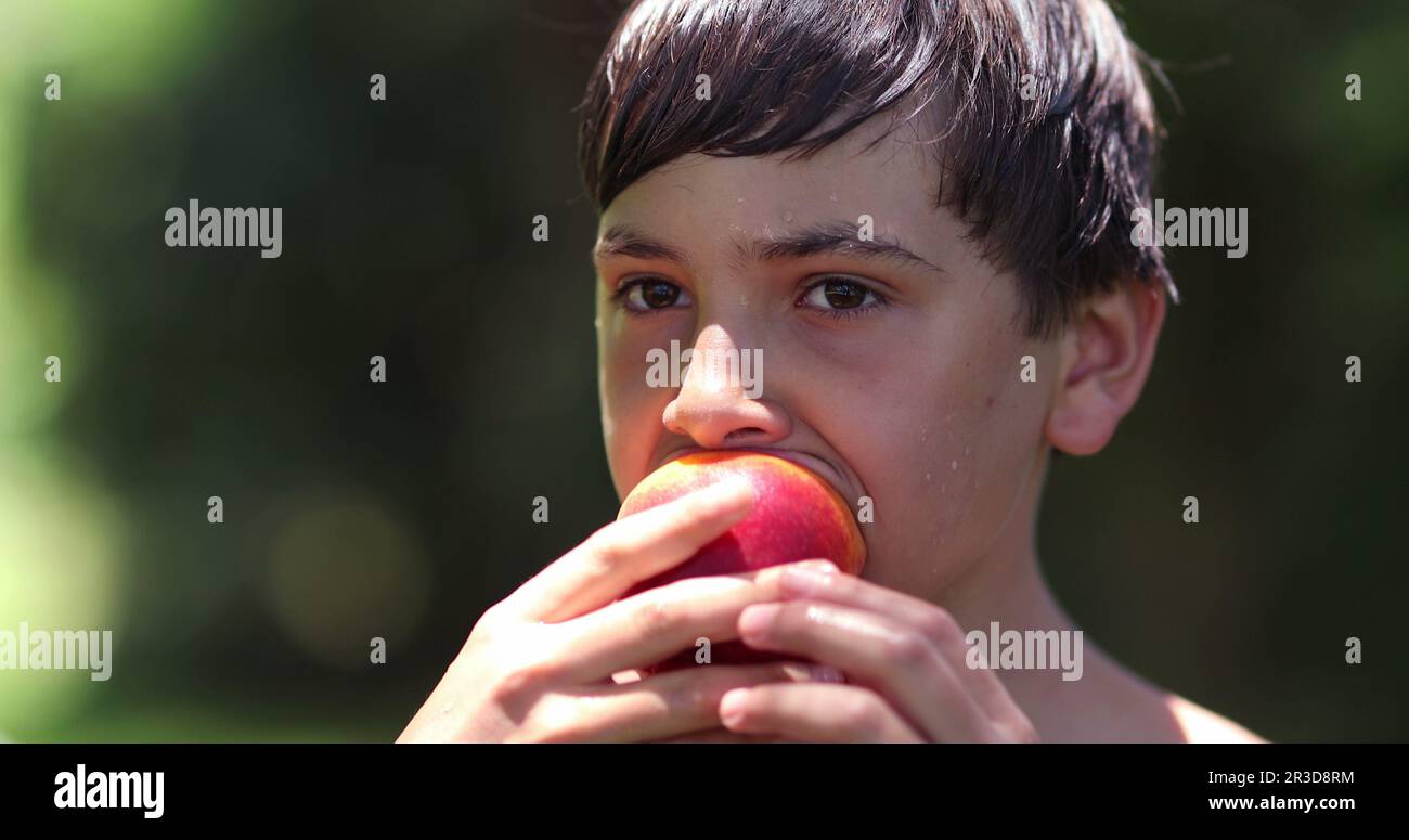 Child eating peach fruit outdoors. Young boy healthy snacking outside ...