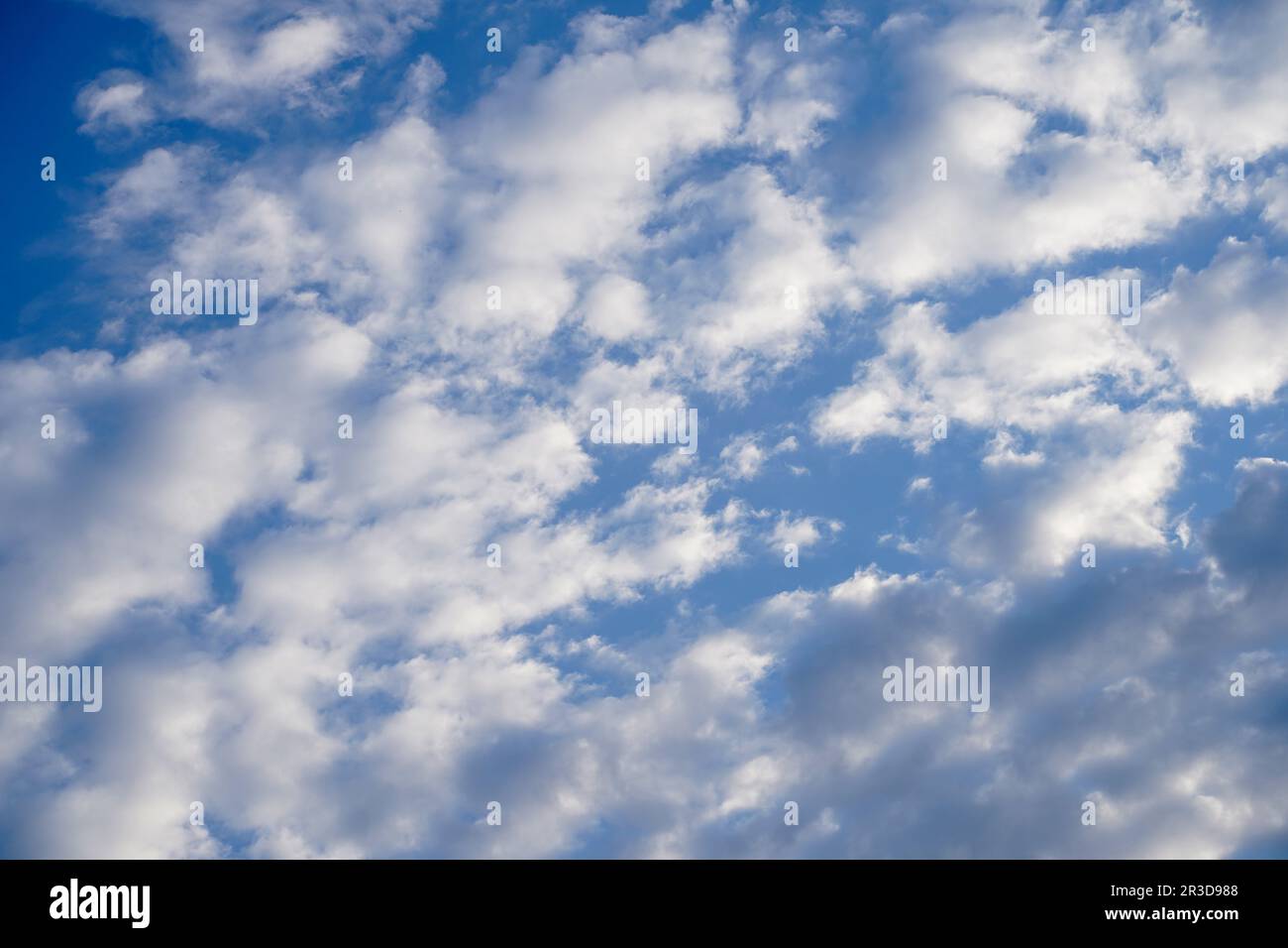 Cumulus clouds in the blue sky. Blue sky background with clouds Stock ...