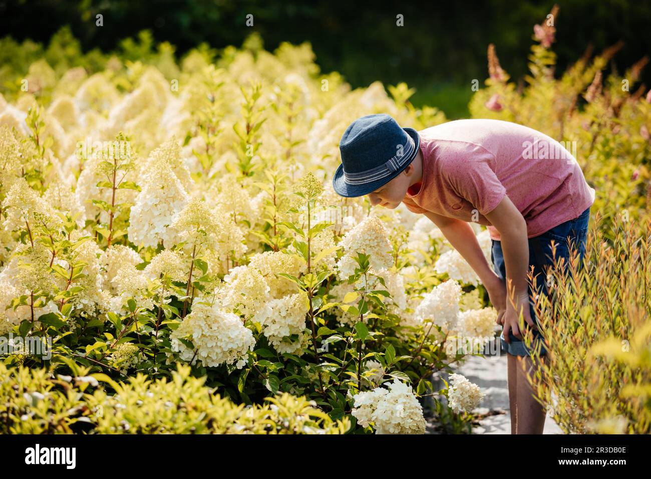 Handsome teenage boy choose flower for mother's day Stock Photo - Alamy