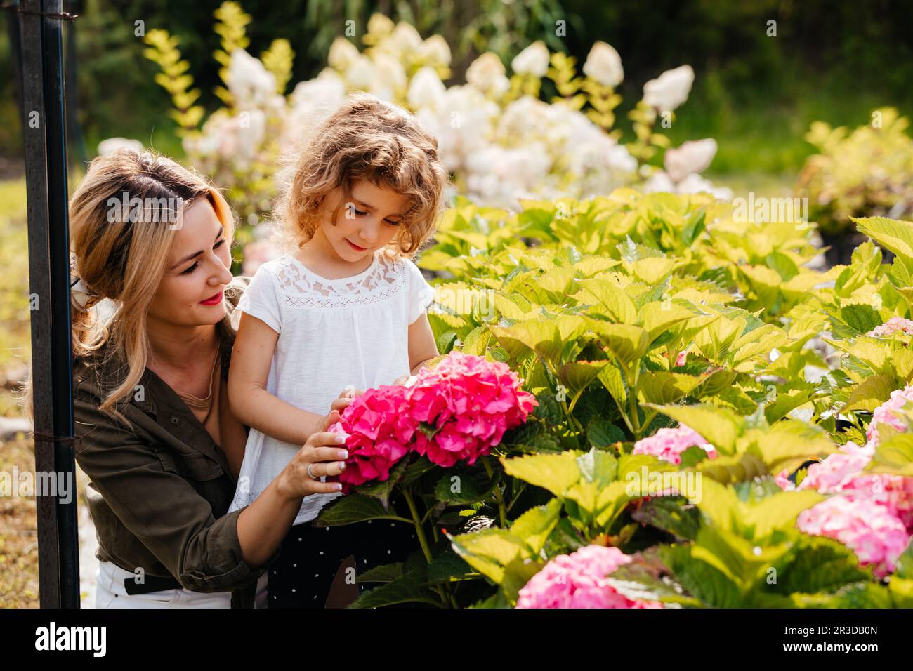 Mom introduces her daughter to beautiful hydrangeas Stock Photo - Alamy
