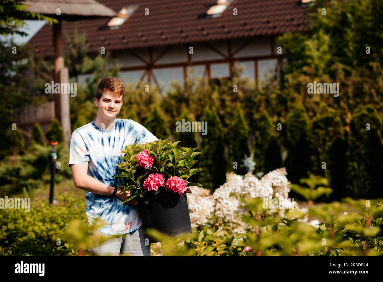 Summer part-time job for teenager during vacation Stock Photo - Alamy