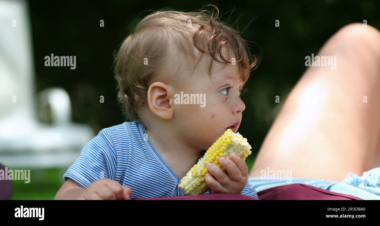 Baby eating corncob outdoors. Infant child eating healthy snack in ...