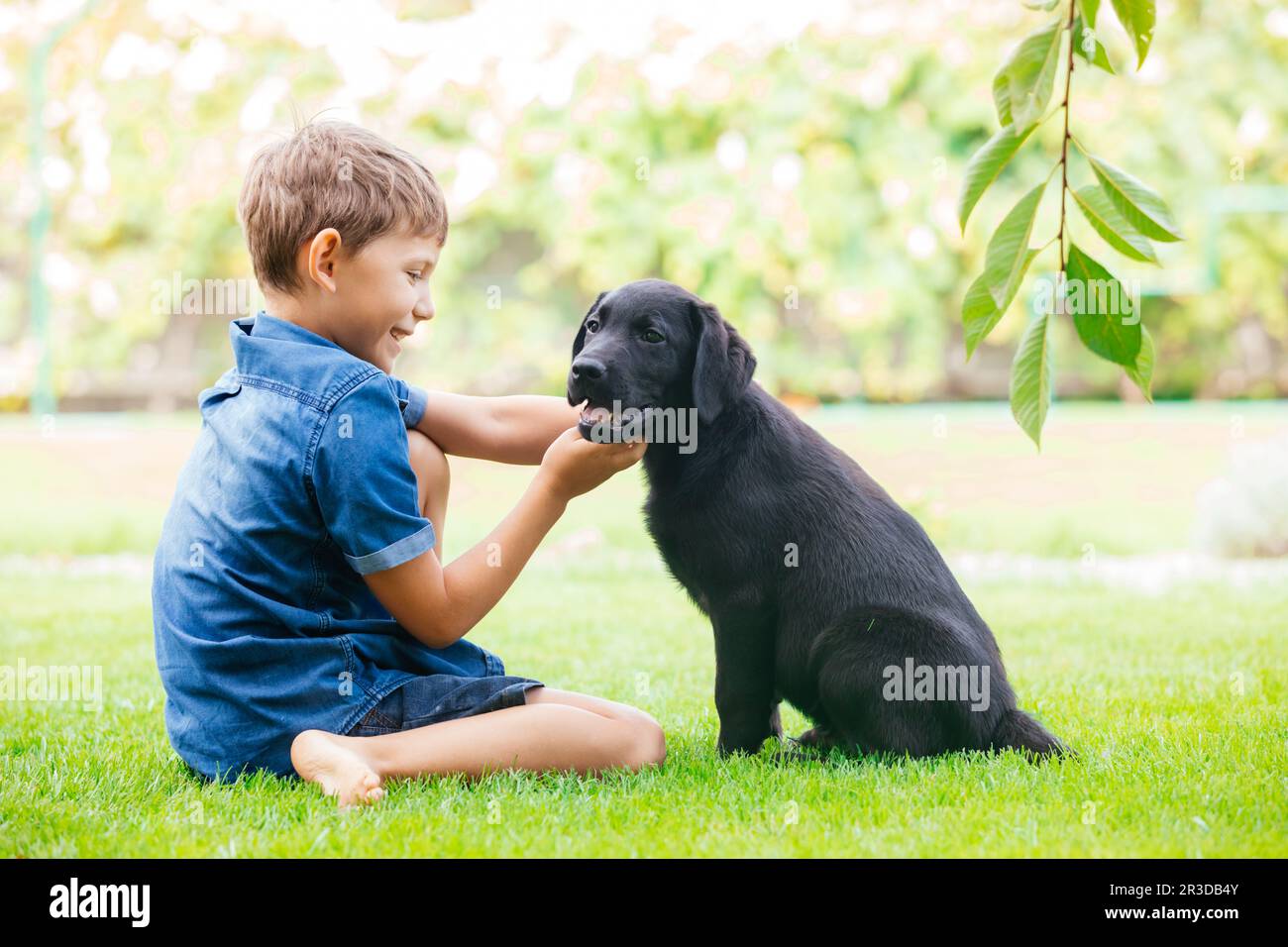 Love of pets hi-res stock photography and images - Alamy