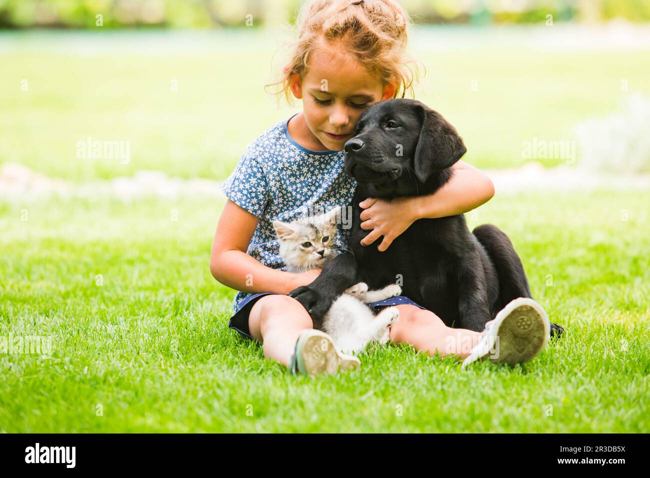 Little girl taking care of her dog and cat Stock Photo - Alamy