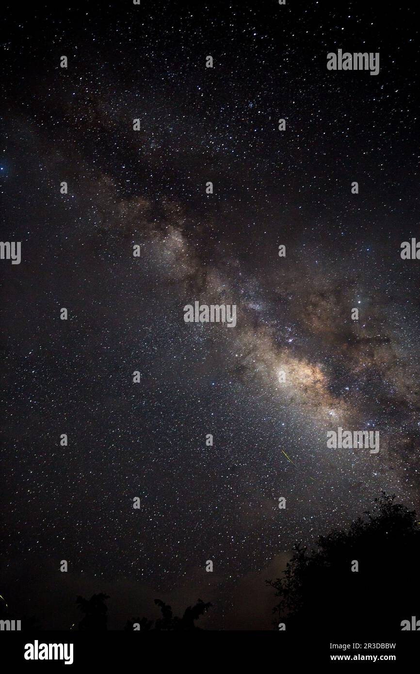 Milky Way with galactic center visible and a firefly Stock Photo - Alamy