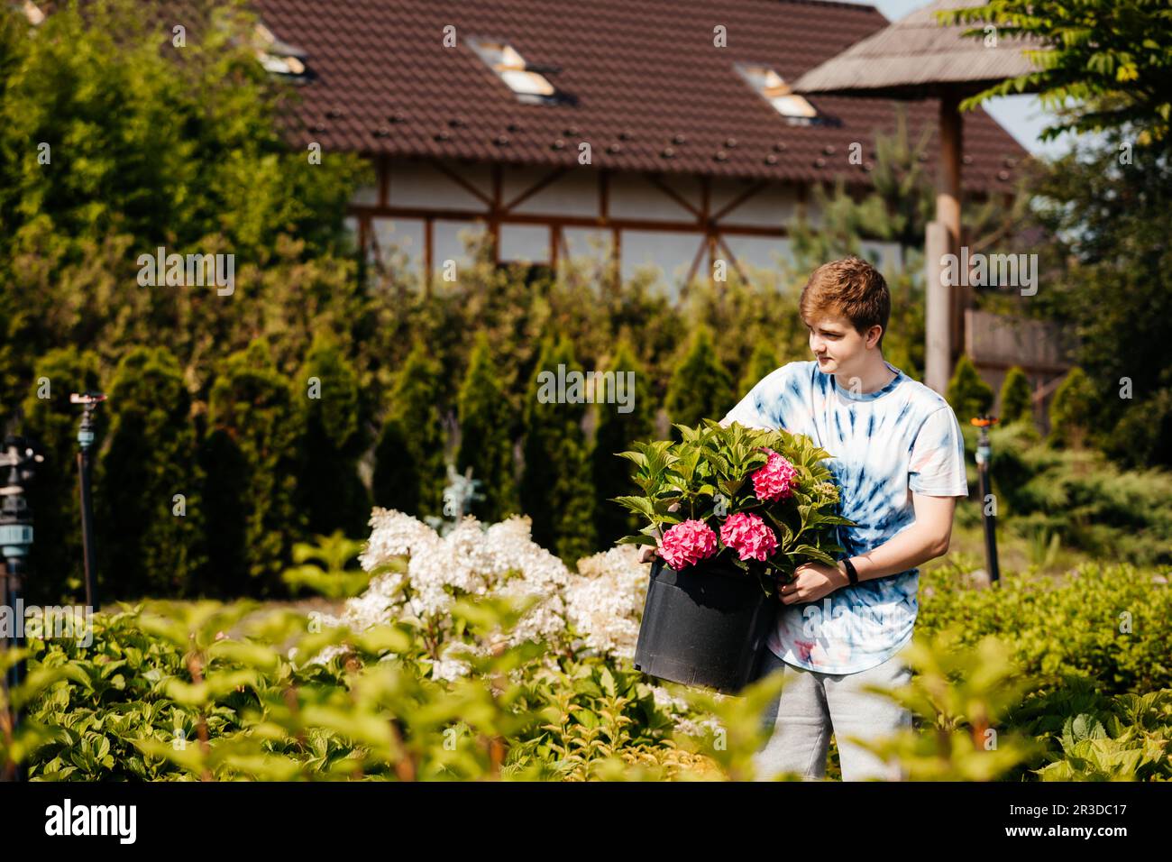 Summer part-time job for teenager during vacation Stock Photo - Alamy