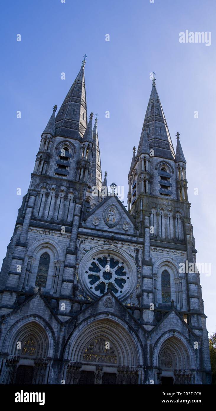 The facade of the Anglican Cathedral of Saint Fin Barre's in Cork ...