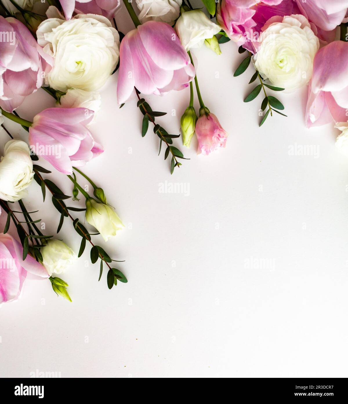 Pink and white flowers border design over the white Stock Photo - Alamy
