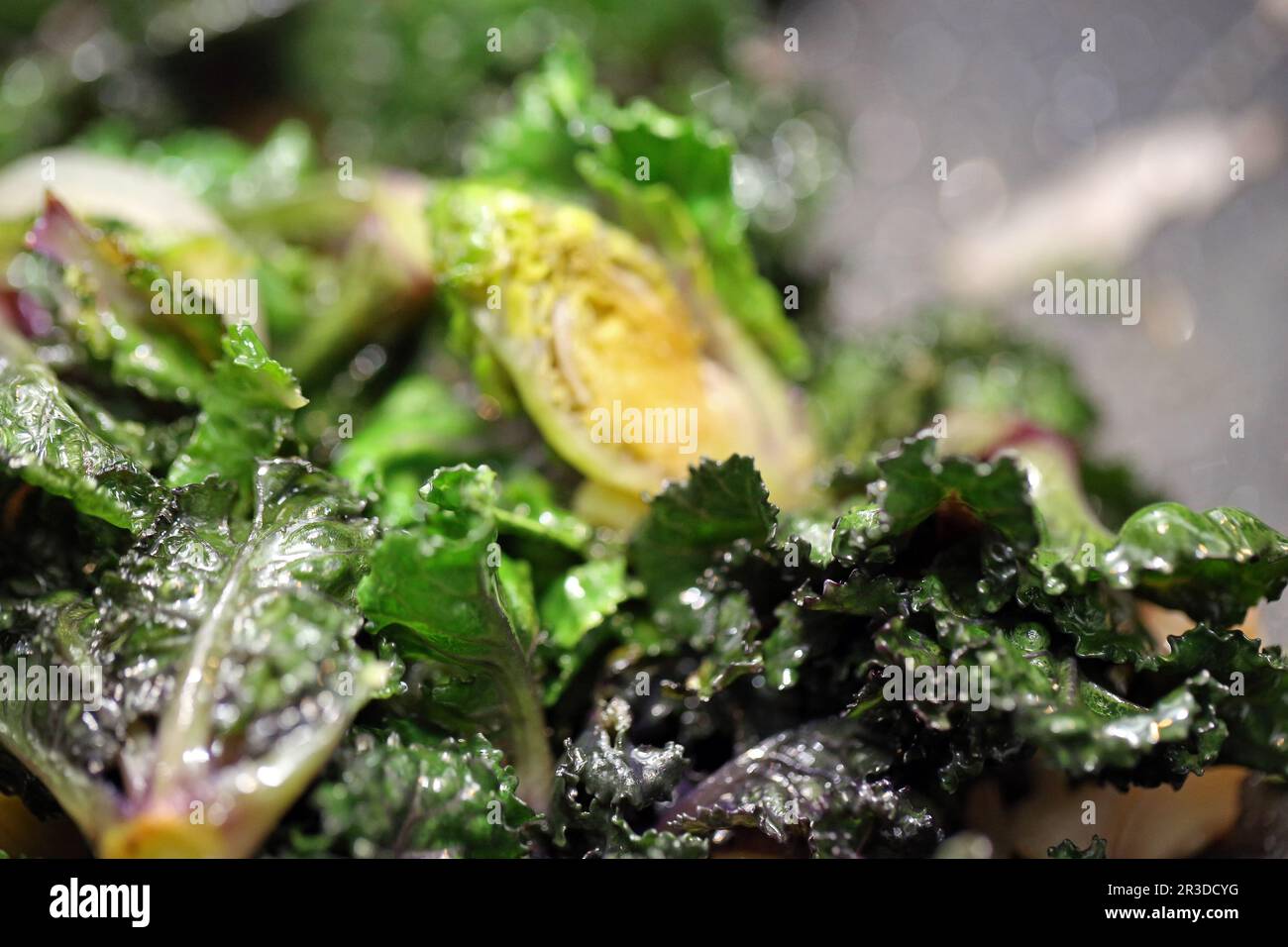 Kalettes hi-res stock photography and images - Alamy