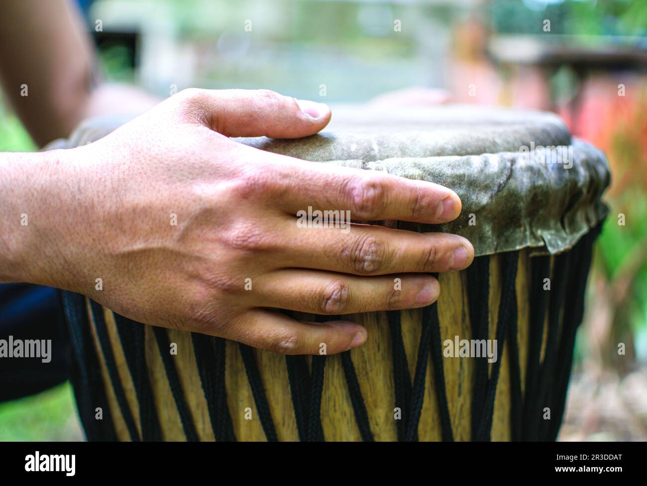 Drummer hands playing the ethnic djembe drum Stock Photo - Alamy