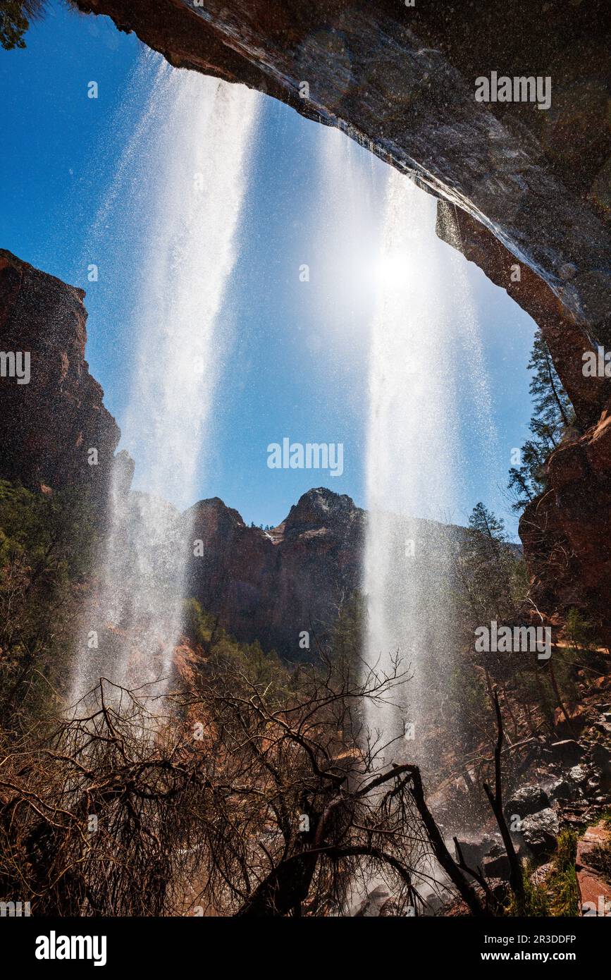Lower Emerald Pools Trail waterfall; Zion National Park; Utah; USA Stock Photo - Alamy