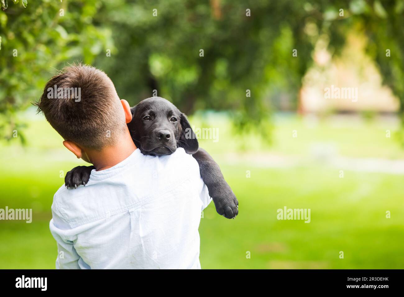 The boy with his favorite four-legged friend Stock Photo - Alamy