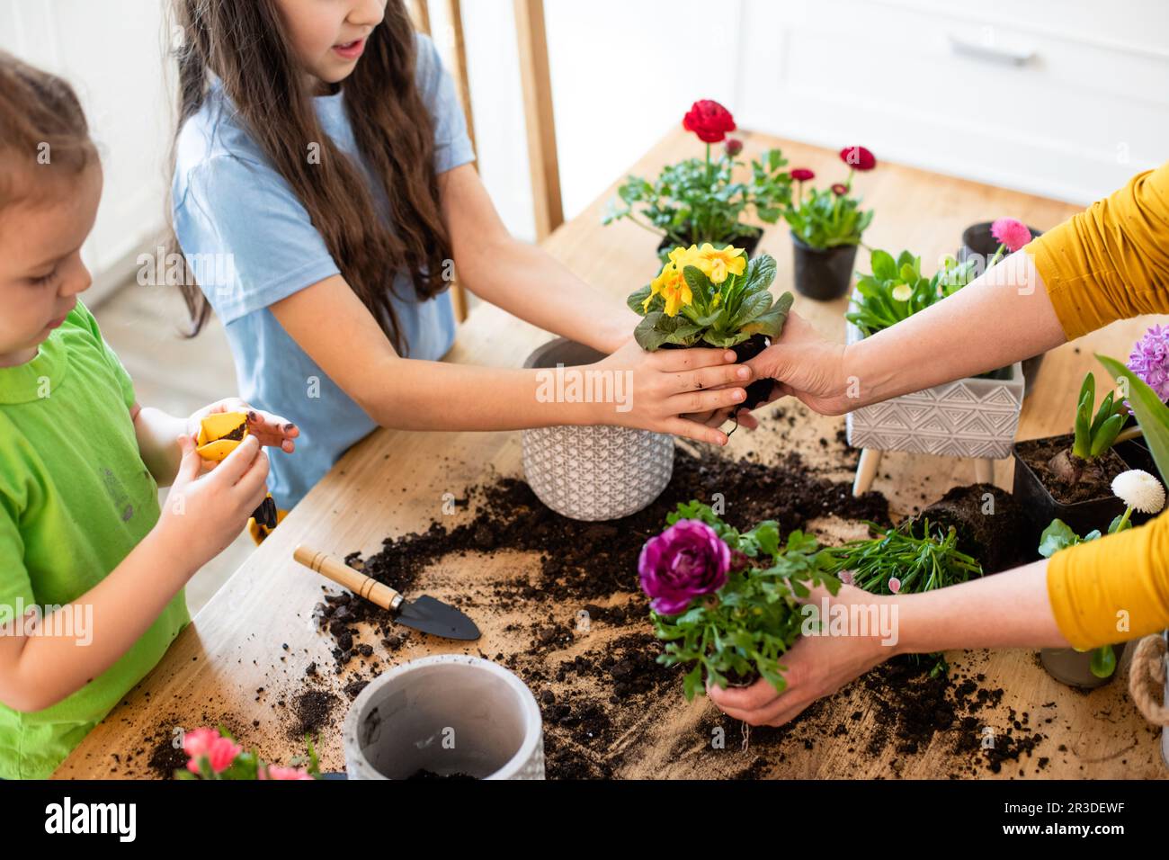 Educational hobbies, development of family with children Stock Photo ...