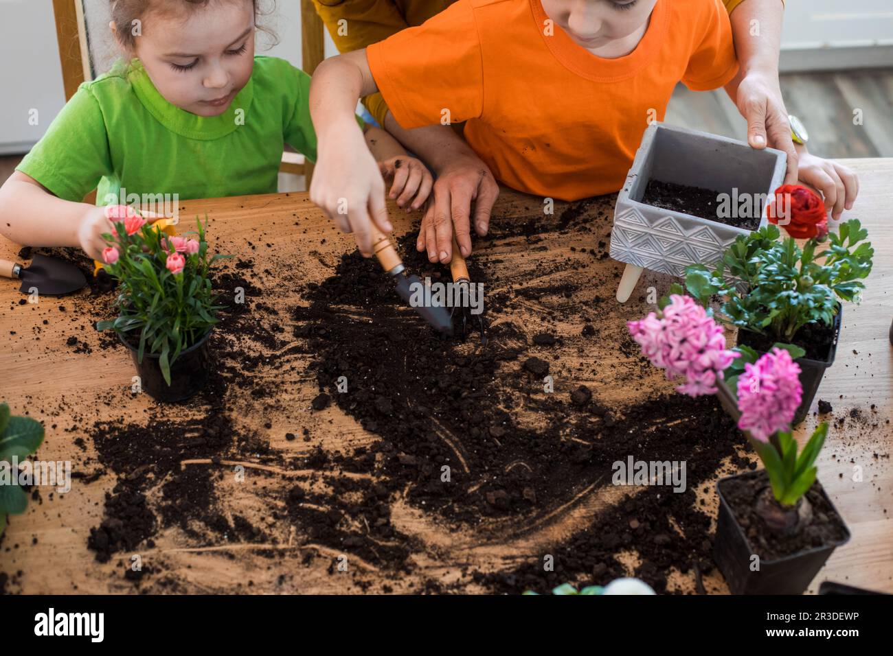 Dirt flowers hi-res stock photography and images - Alamy