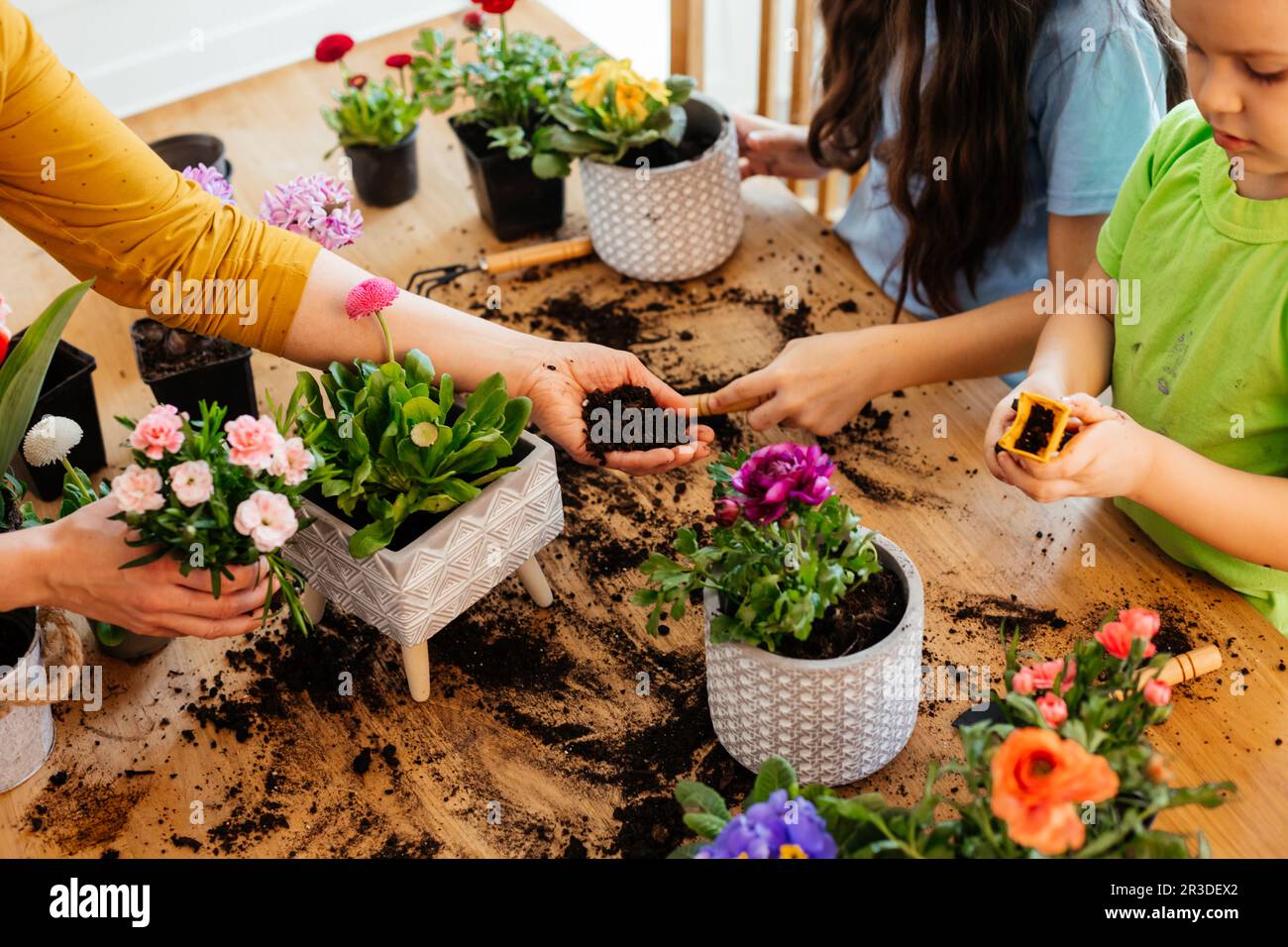 Educational hobbies, development of family with children Stock Photo ...