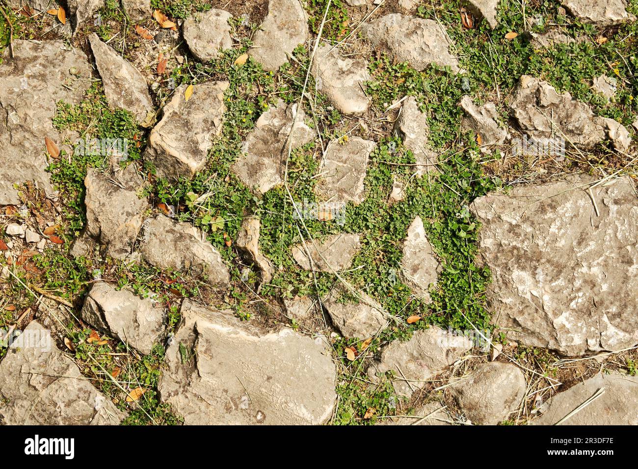 Abstract texture of the cobblestone footpath with grass and stones ...