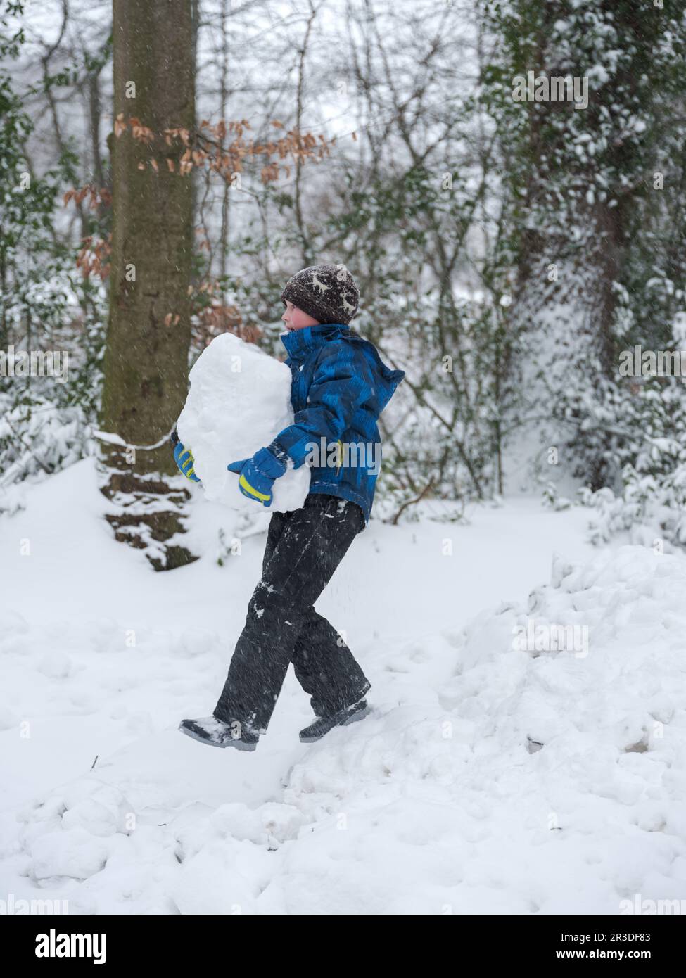 Boy carrying a huge snowball Stock Photo - Alamy