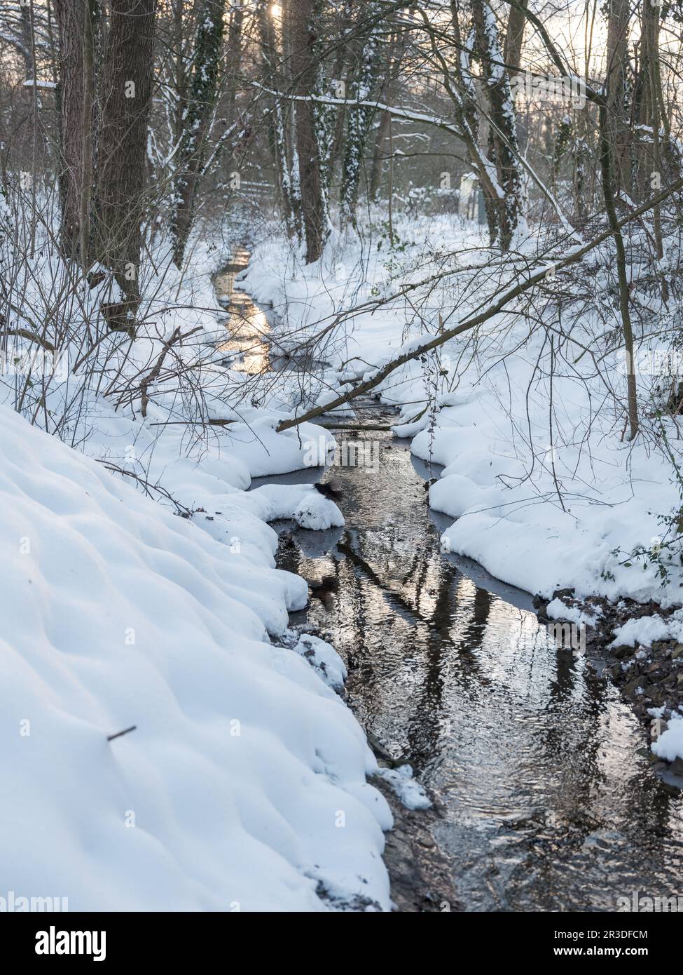 Golden brook hi-res stock photography and images - Alamy