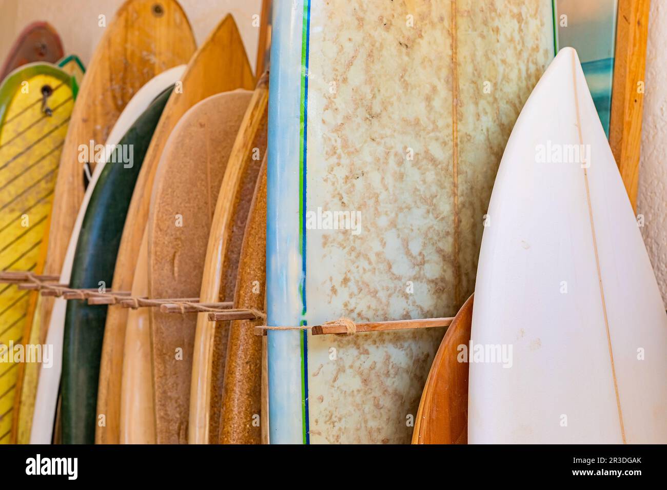 Retro vintage surfboards lined up in a local surf shop Stock Photo - Alamy