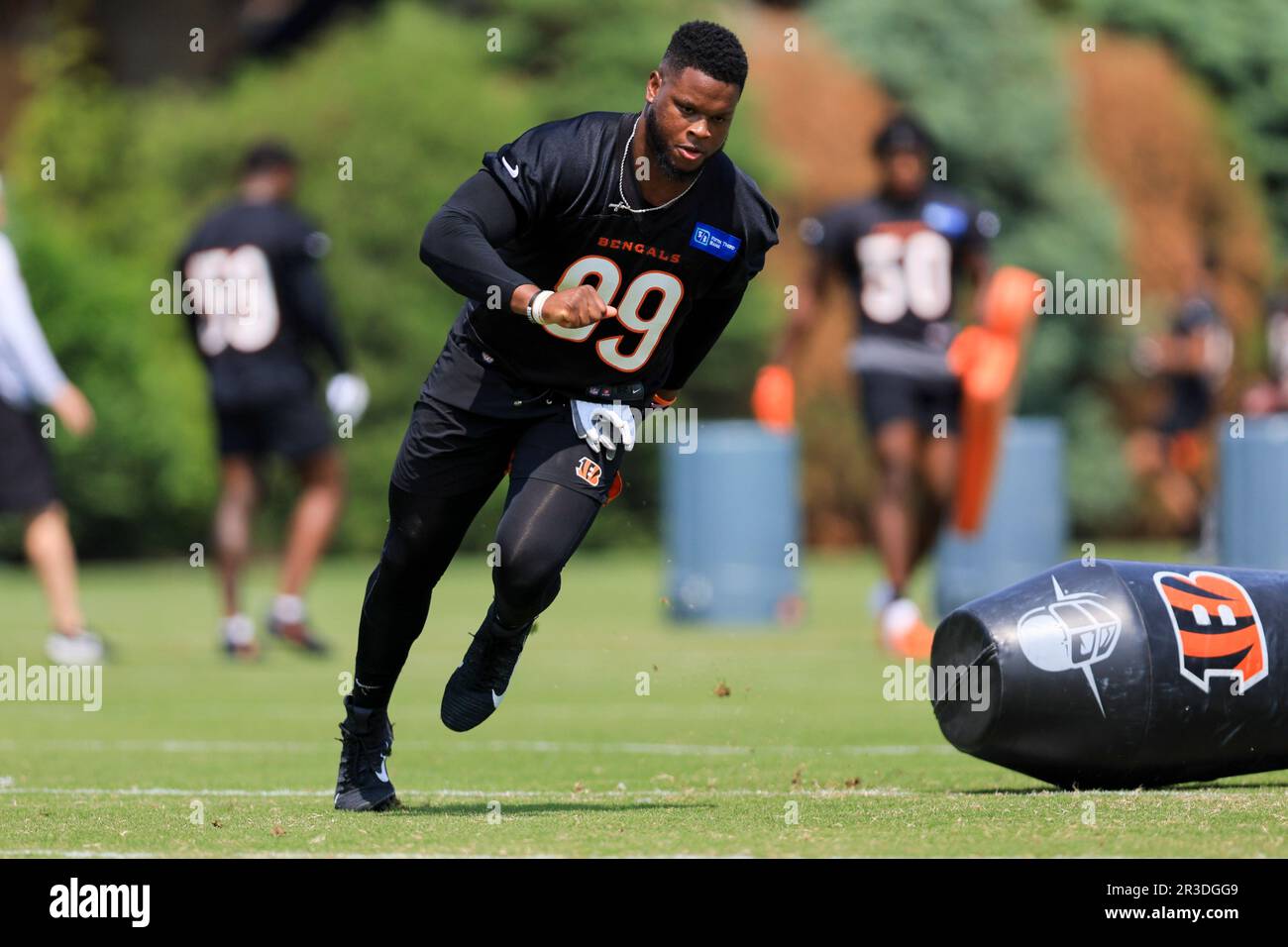 Cincinnati Bengals' Myles Murphy takes part in a drill during a ...