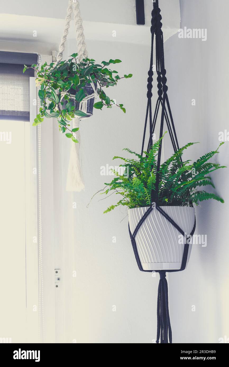 Macrame plant hanger Stock Photo - Alamy