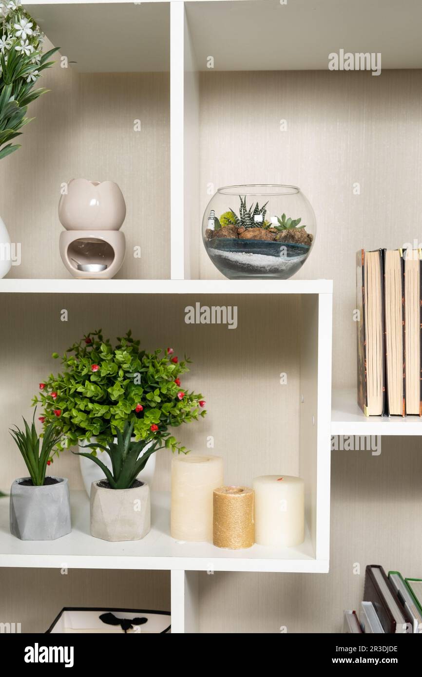 Florarium in interior. Succulent flowers in a glass vase on a shelf ...