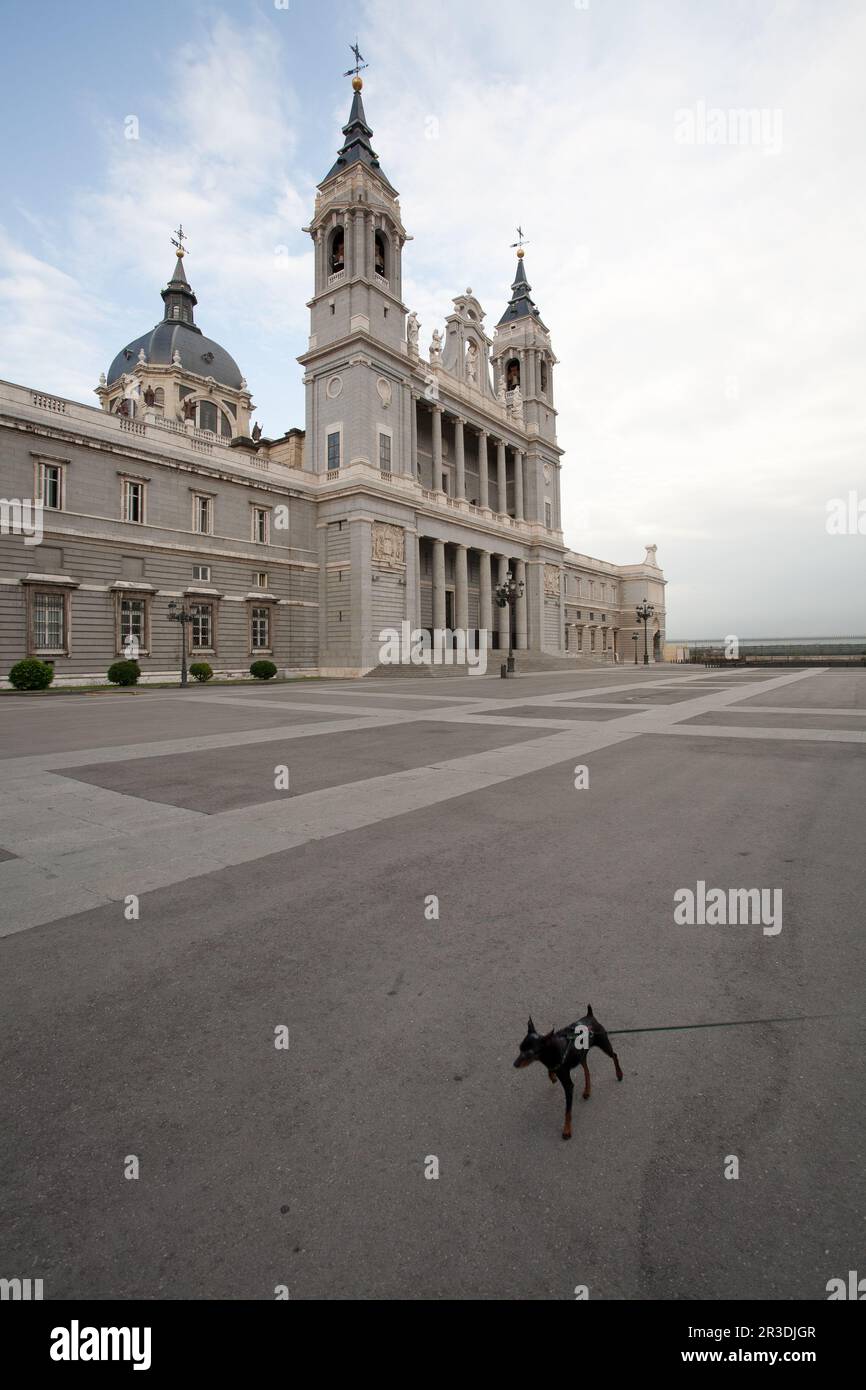 The Almudena cathedral (Catedral de la Almudena). Madrid, Spain Stock ...