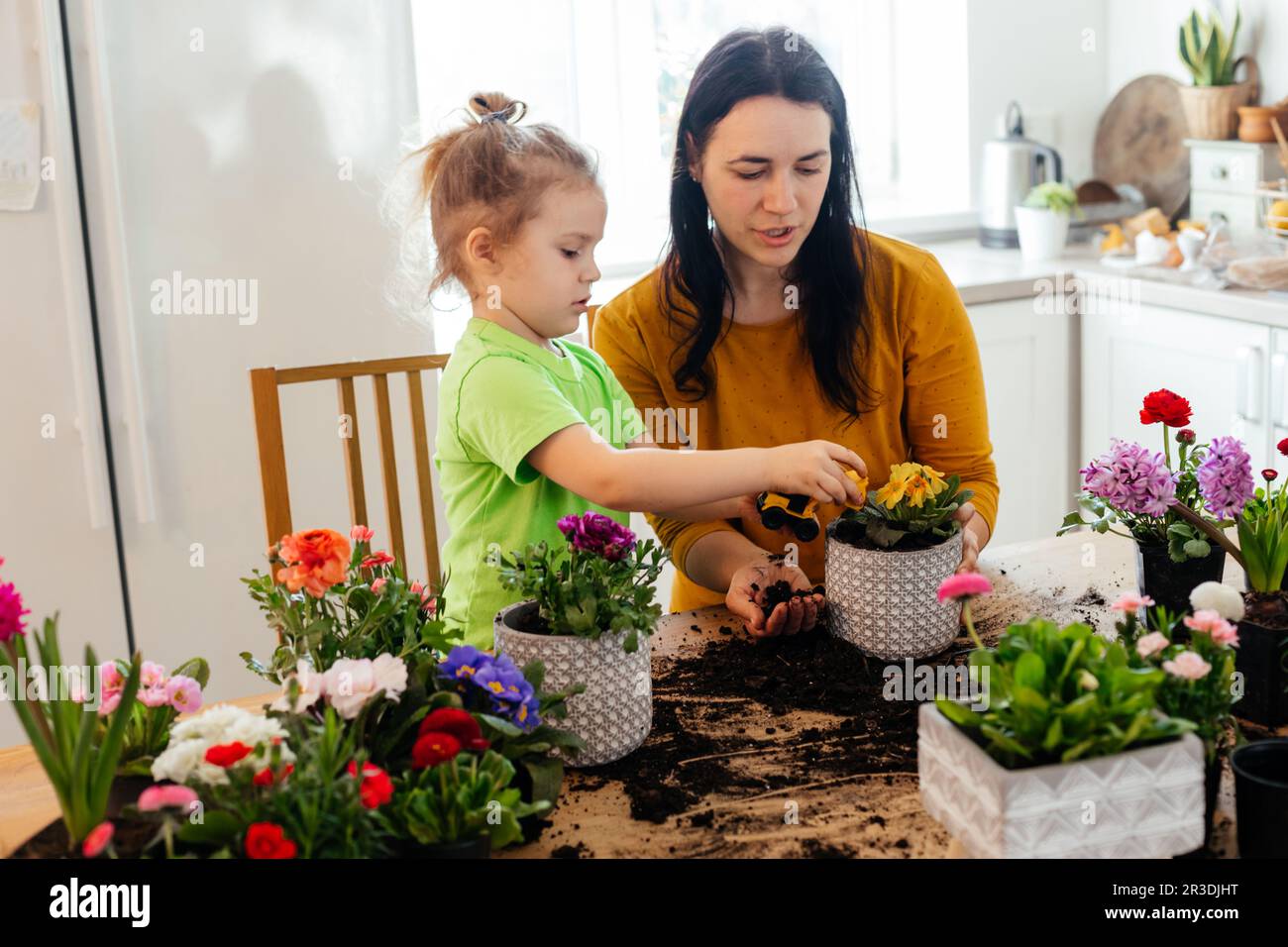 Adding some game elements into learning process Stock Photo - Alamy Adding some game elements into learning process Stock Photo - Alamy