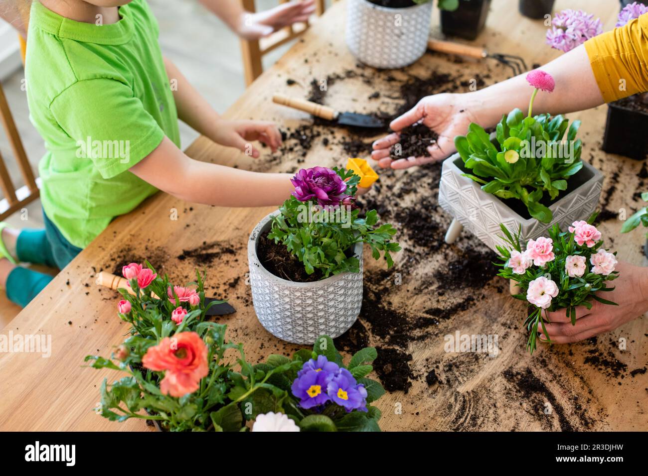 Educational hobbies, development of family with children Stock Photo ...