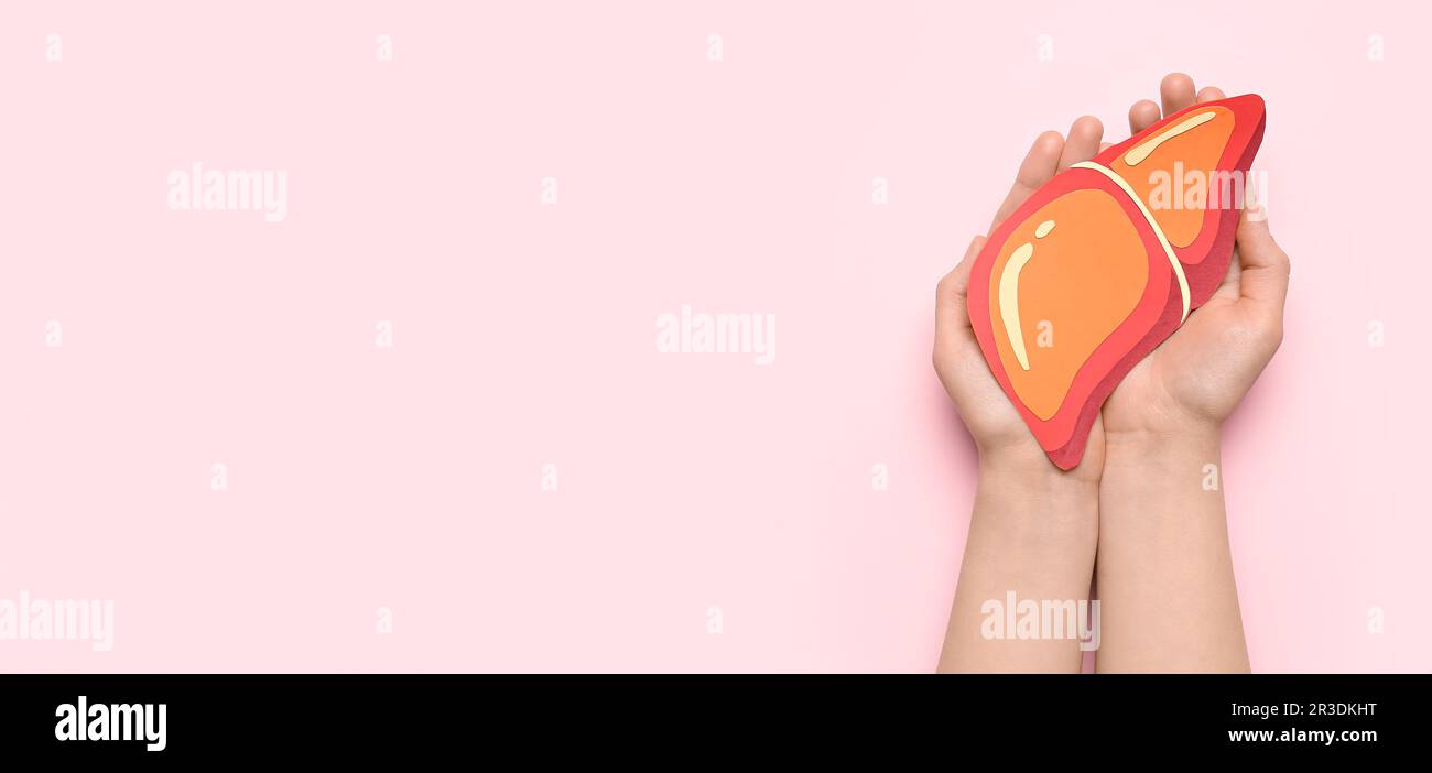 Female hands holding paper liver on pink background with space for text ...